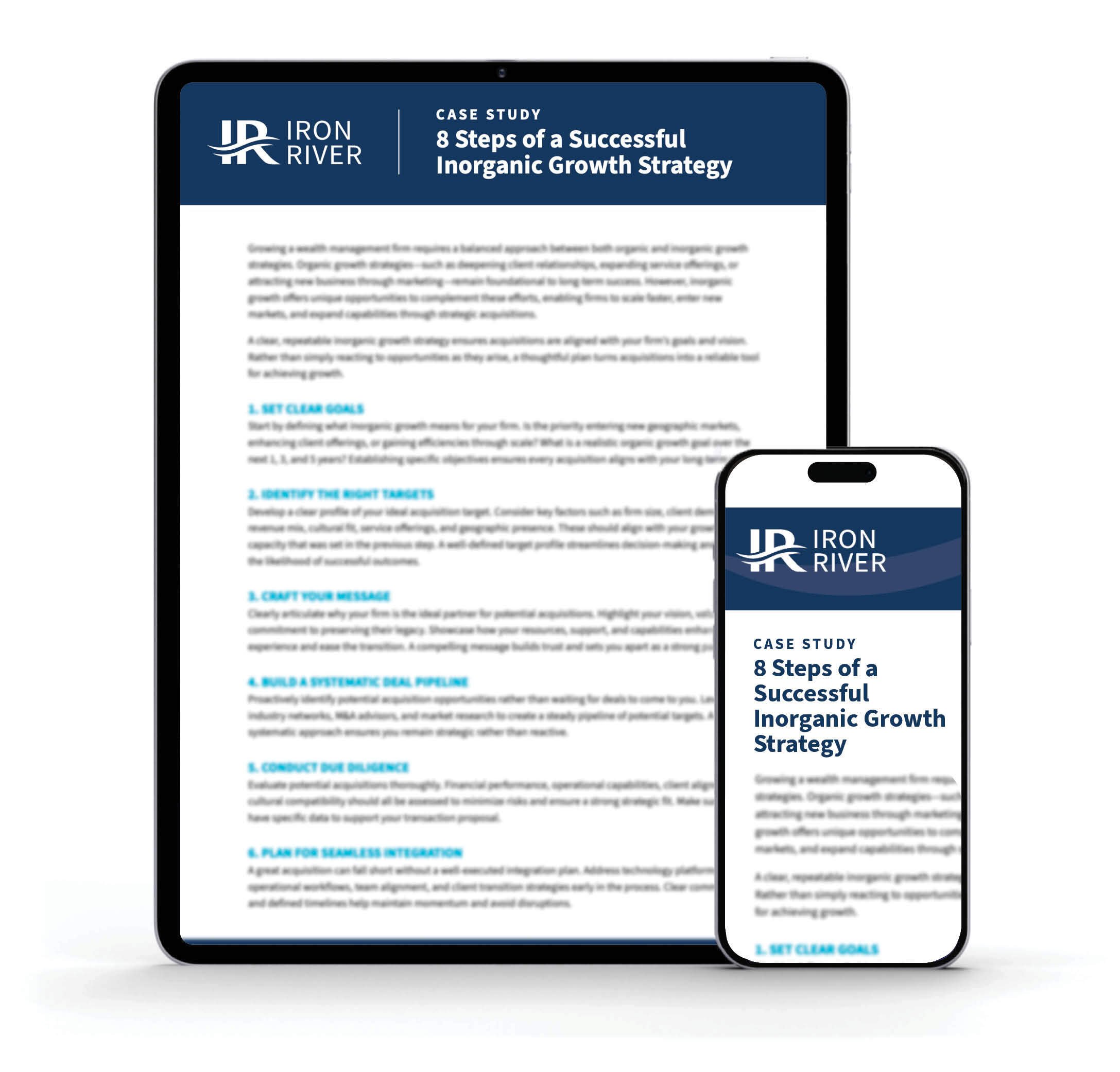 Case Study: 8 Steps of a Successful Inorganic Growth Strategy